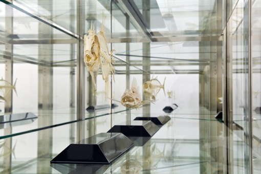 Art exhibitions in Kyiv. PinchukArtCentre hosts an exhibition of ...